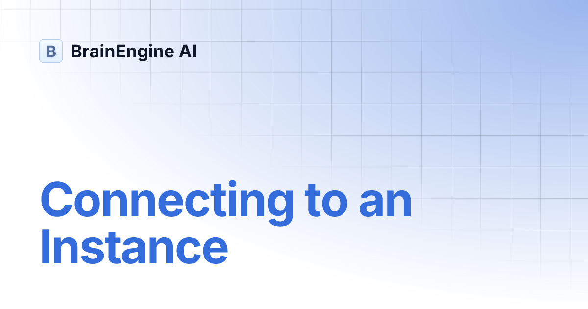 Connecting to an Instance | BrainEngine AI